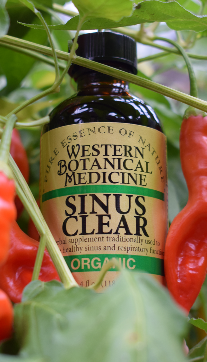Herbal supplement traditionally used to promote healthy sinus and ...